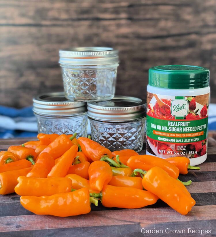 Hot Datil Pepper Jelly Recipe (St Augustine Style)