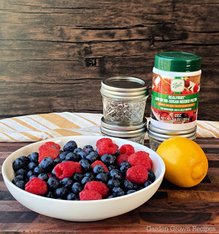 Mixed Berry Jelly Recipe with No Sugar Added
