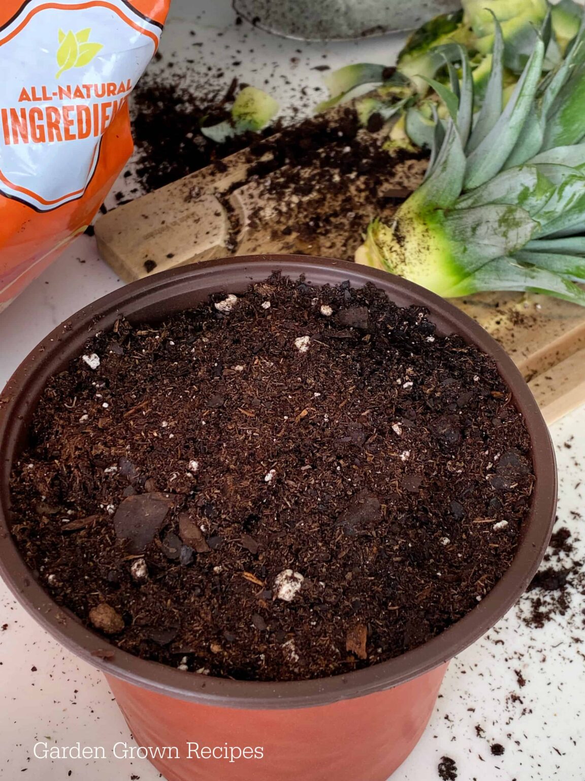 How Long Does It Take To Grow a Pineapple Plant