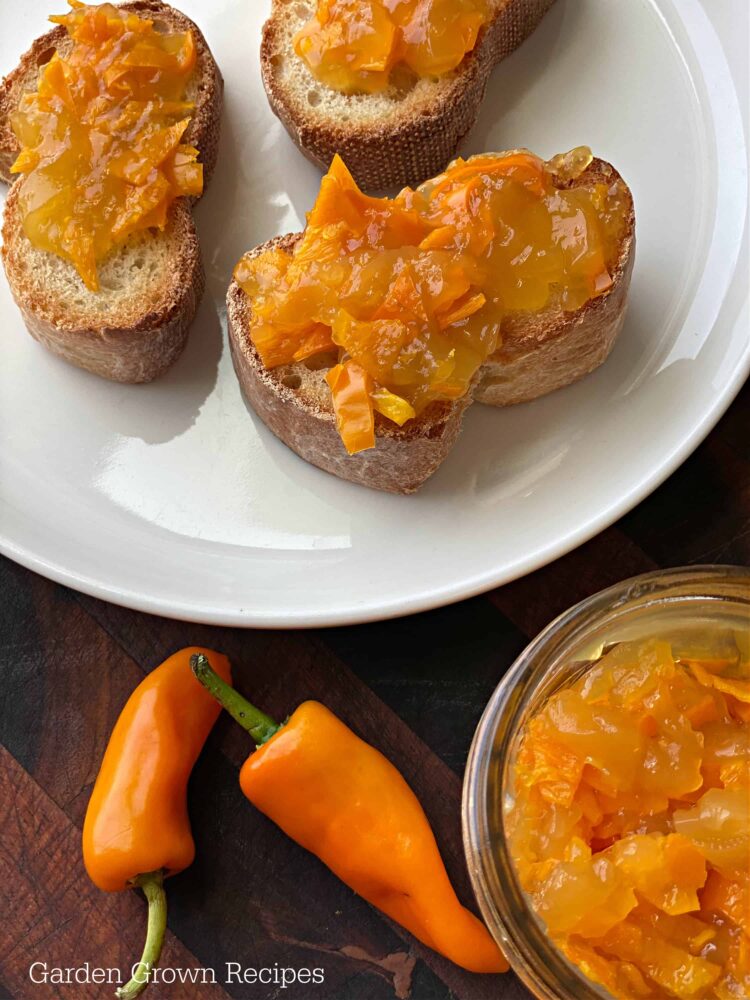 Hot Datil Pepper Jelly Recipe (St Augustine Style)