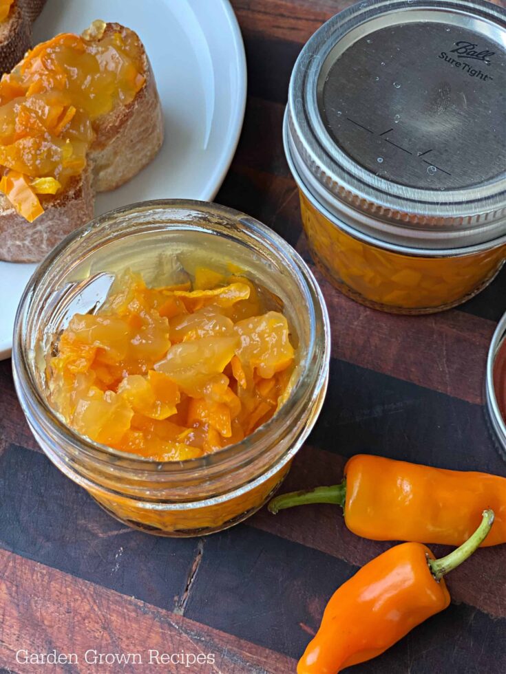 Hot Datil Pepper Jelly Recipe (St Augustine Style)